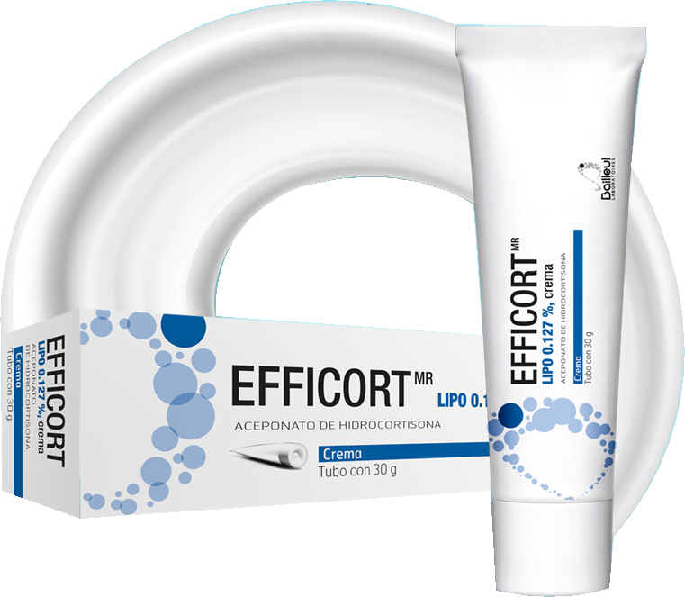 EFFICORT | Meditekergo